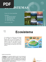 Triptico Ecosistema Terrestre | PDF | Ecosistema | Suelo