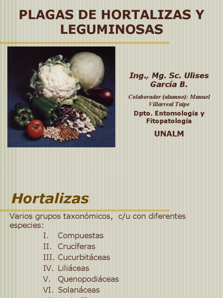 Plagas de Hortalizas Y Leguminosas: Ing., Mg. Sc. Ulises García B | PDF ...