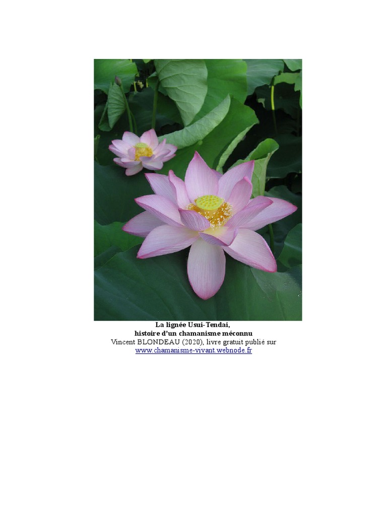 Chamanisme Usui-Tendai : Histoire et Pratiques | PDF | Śūnyatā | Sūtra ...