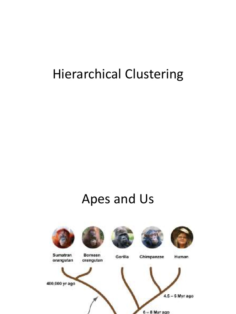 Hierar Scale4 | PDF | Cluster Analysis | Mathematical Logic