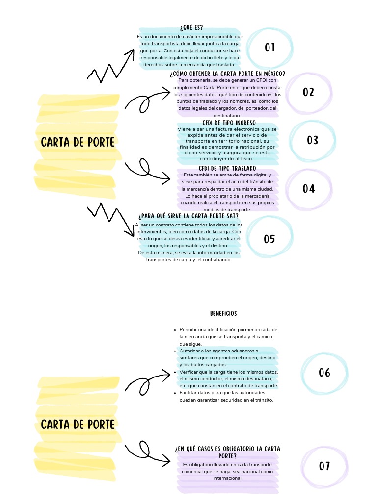 4.2.3 Carta de Porte | PDF