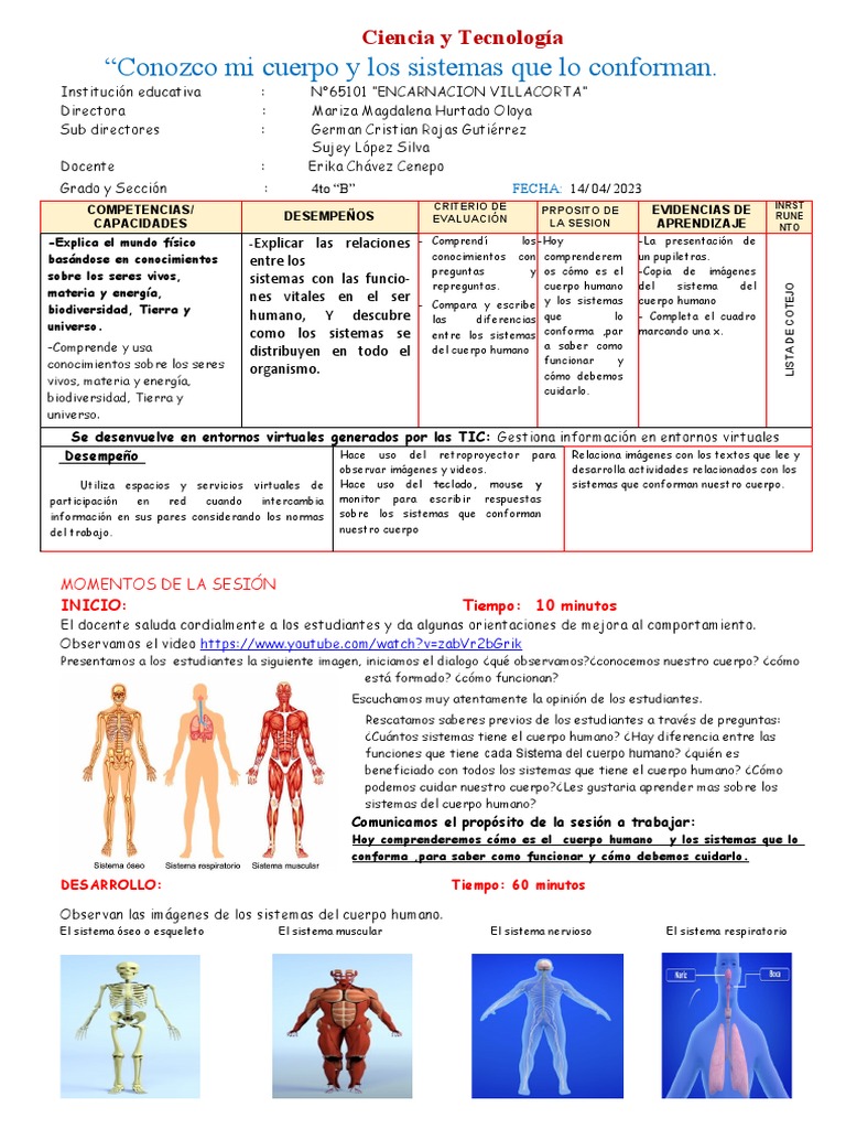 Conociendo los Sistemas del Cuerpo | PDF | Digestión | Sistema ...