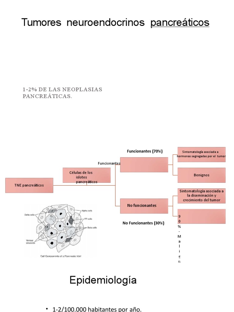 Tumores Neuroendocrinos Pancreáticos: 1-2% de Las Neoplasias Pancreáticas | PDF | Hipoglucemia ...