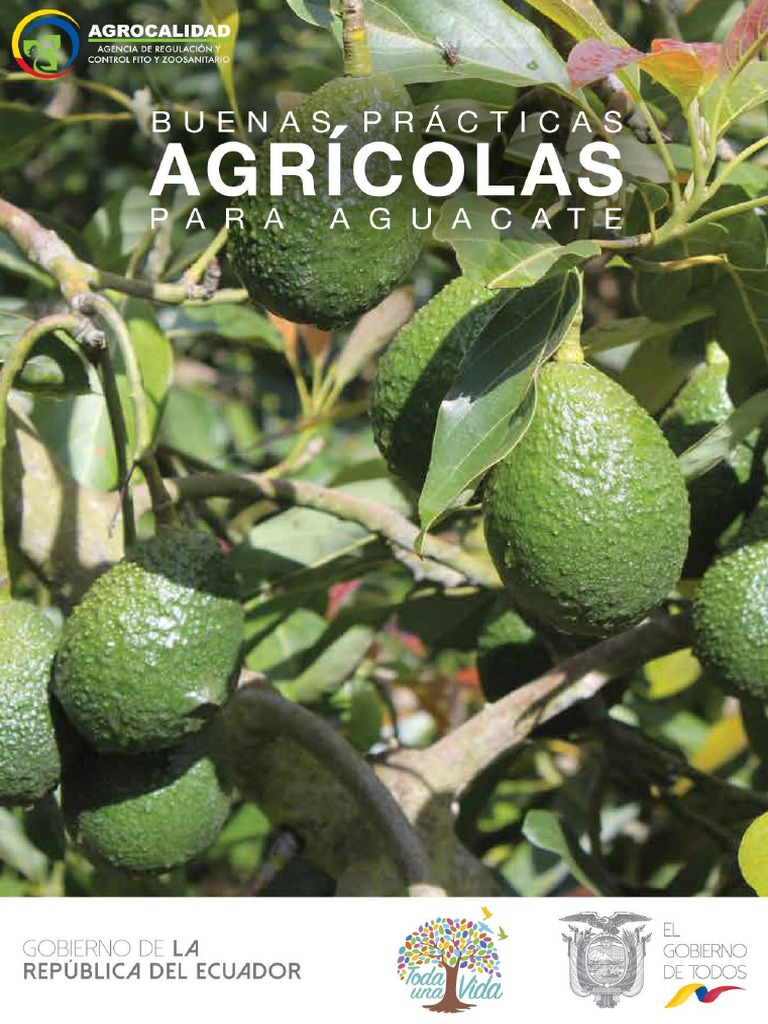 Guia-de-BPA-para-aguacate- AGROCALIDAD 2015 | PDF