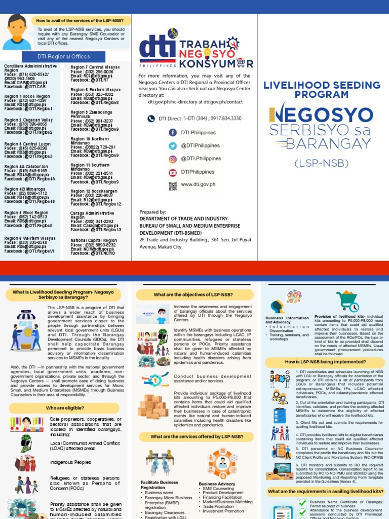 4 LSP NSB Flyer | PDF | Small And Medium Sized Enterprises | Economies