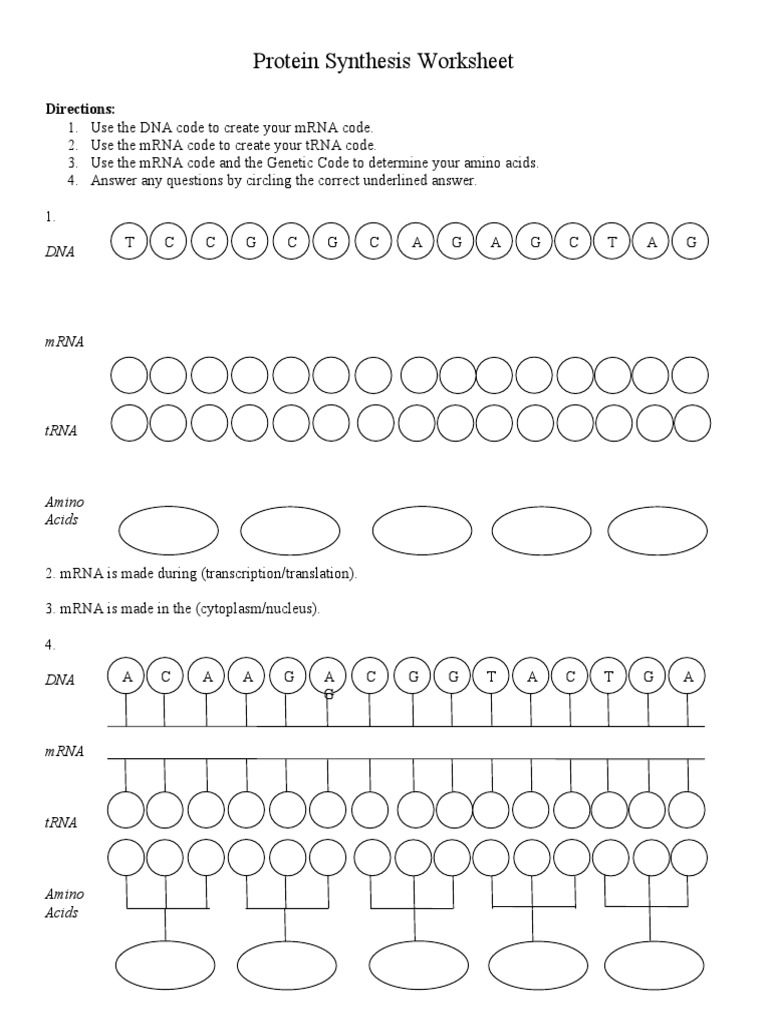 Protein Synthesis Practice Worksheet | PDF | Science & Mathematics