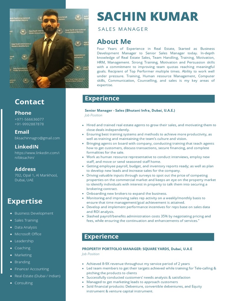CV Style For 4 Years Experienced Professional | PDF