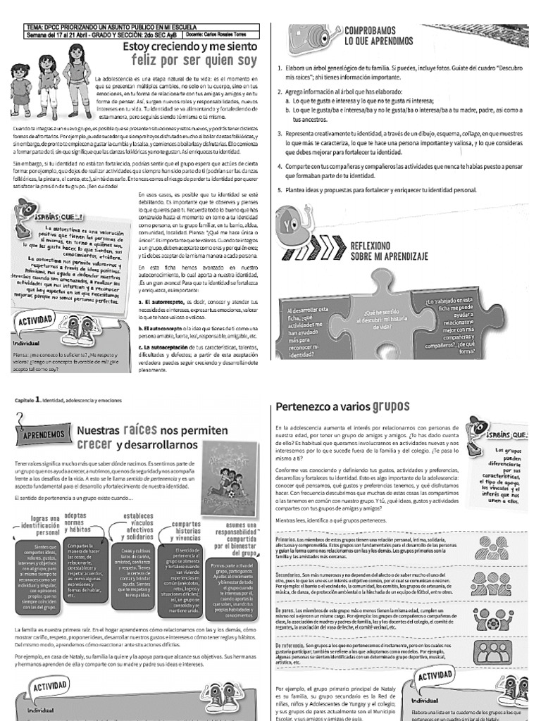 Ficha DPCC | PDF