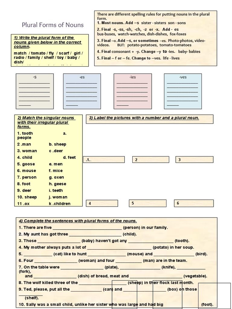 Plural Forms of Nouns: - Es - Ies - Ves | PDF | Plural | Language Families
