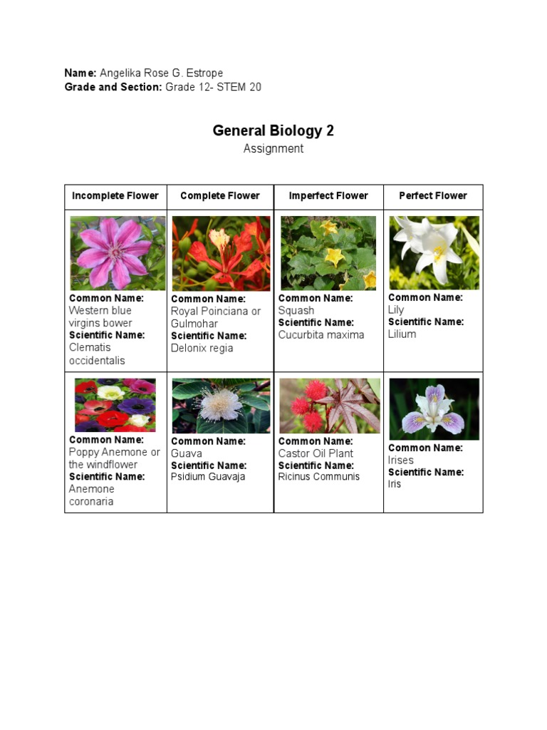 Flower Types and Scientific Names Guide | PDF