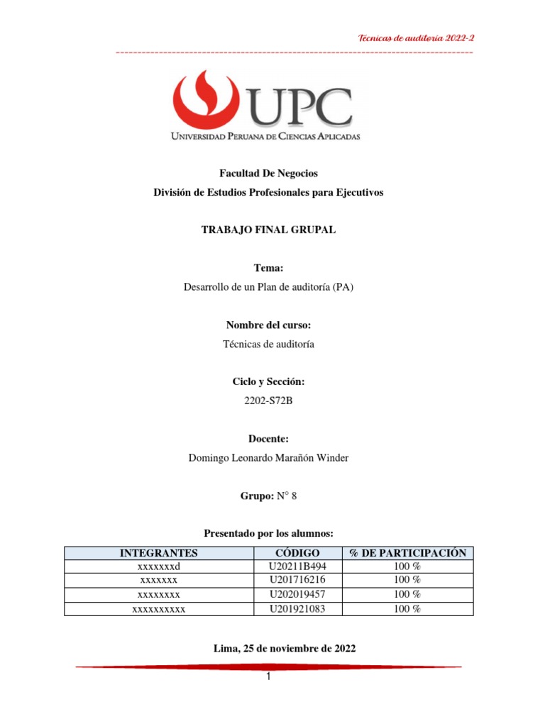 TF Tecnicas de Auditoria - Empresa BCP - Grupo 8 | PDF