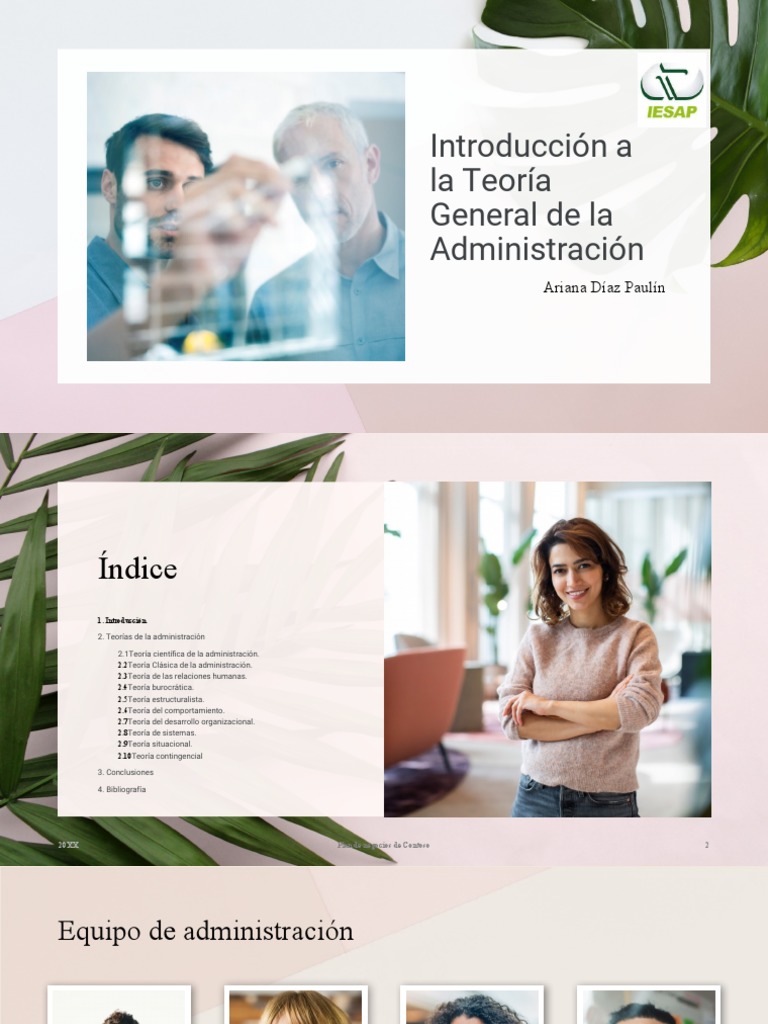 Introducción A La Teoría General de La Administración | PDF | Marketing | Negocios económicos