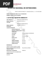 Formato RND Actualizado para Detenciones | PDF | Policía