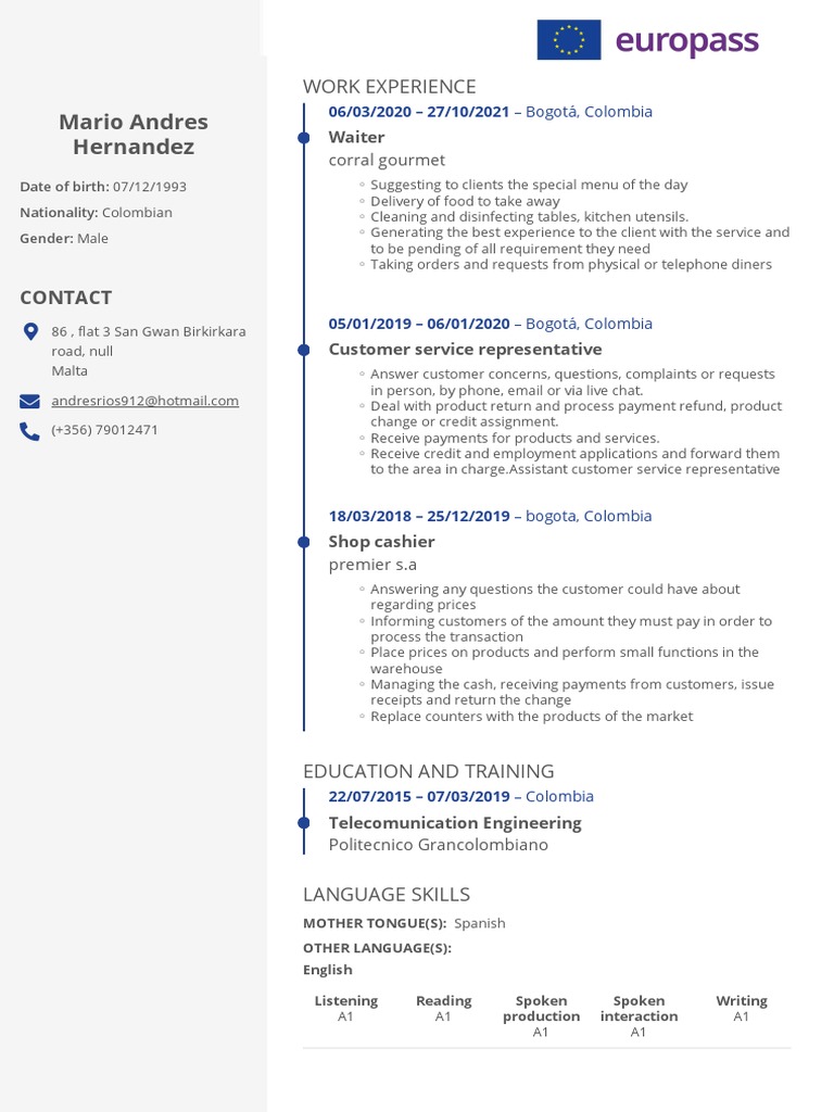 CV - Mario Andres Hernandez | PDF | Service Industries | Computing