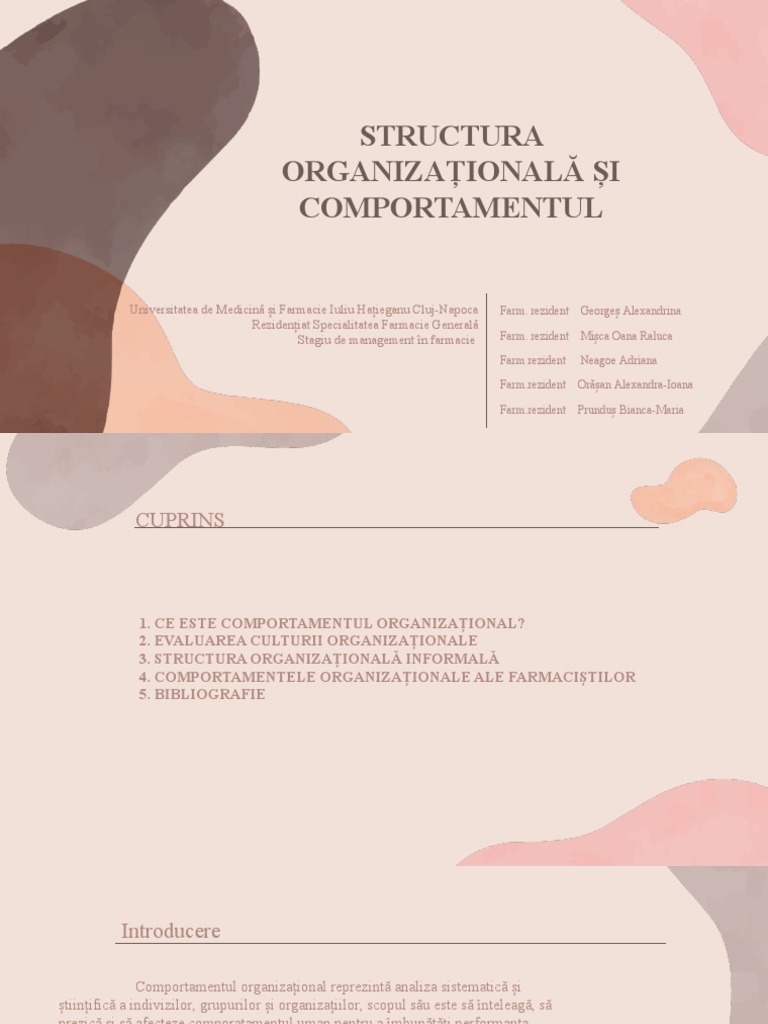 Structura Organizationala Si Comportamentul | PDF