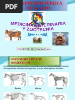 Fórmulas Vertebrales de Animales | PDF