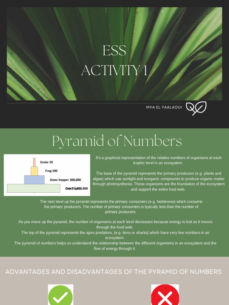 Ess Homework | PDF | Food Web | Ecosystem