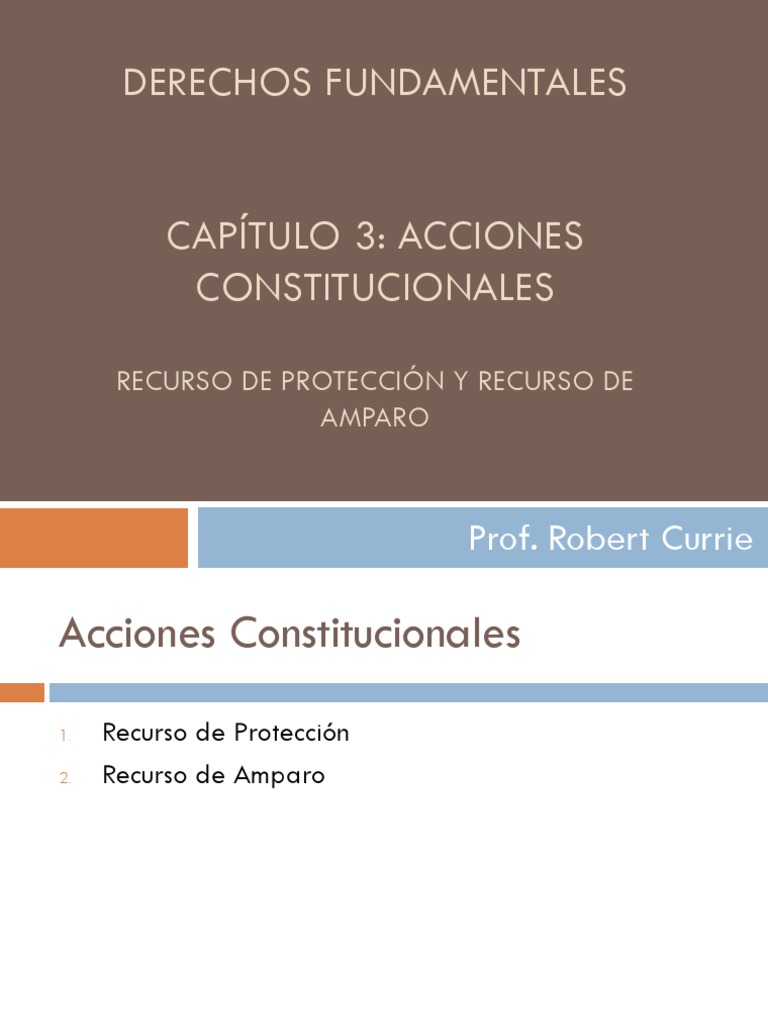 Capítulo 3. Recurso de Protección y Amparo | PDF | Derecho Constitucional | Ley procesal