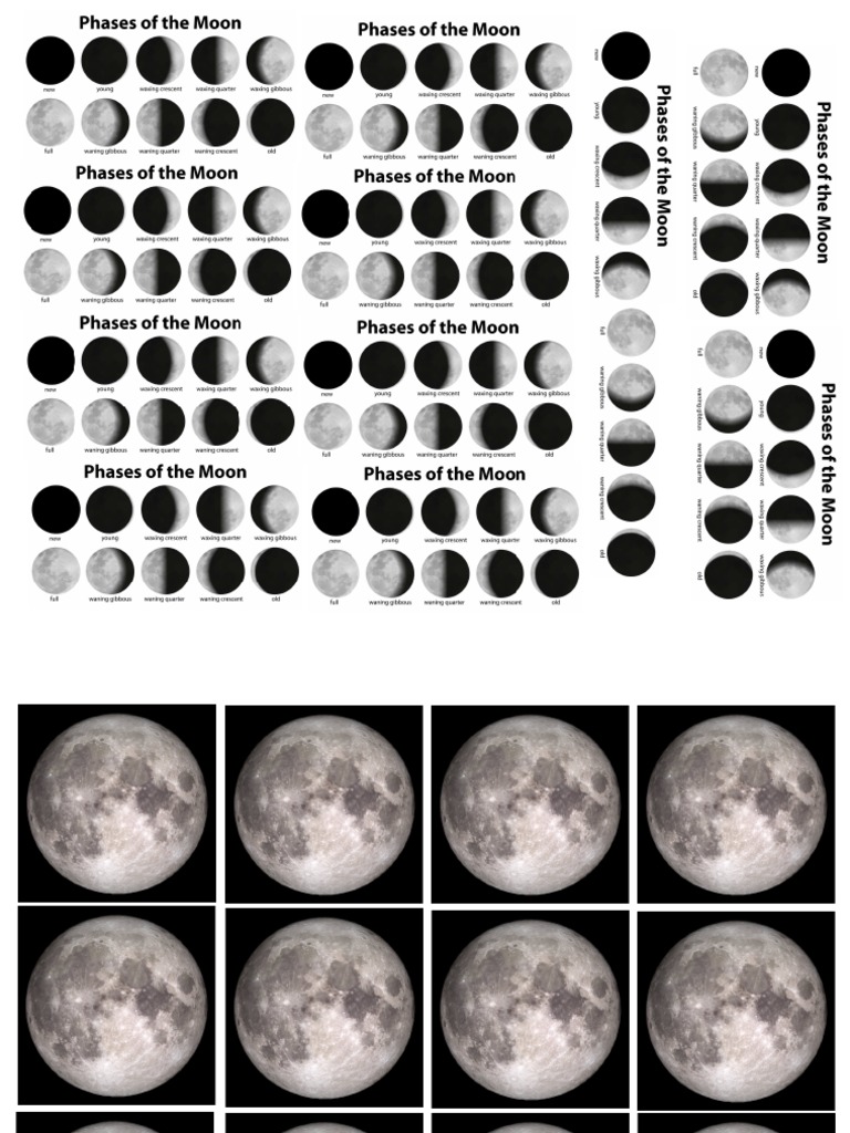 Phases of The Moon | PDF