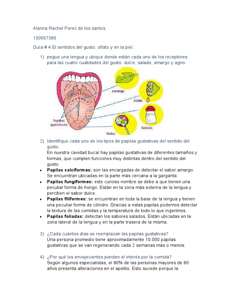 Percepcion Humana Unidad 3 | PDF | Gusto | Anatomía