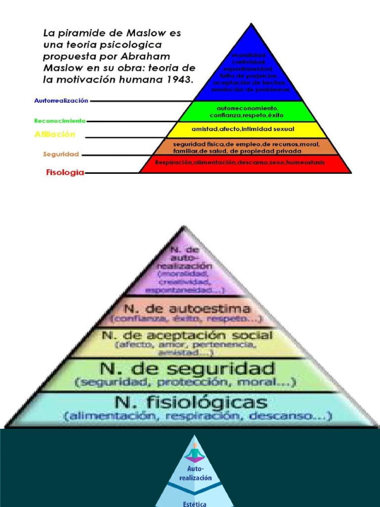 Piramides de Maslow | PDF