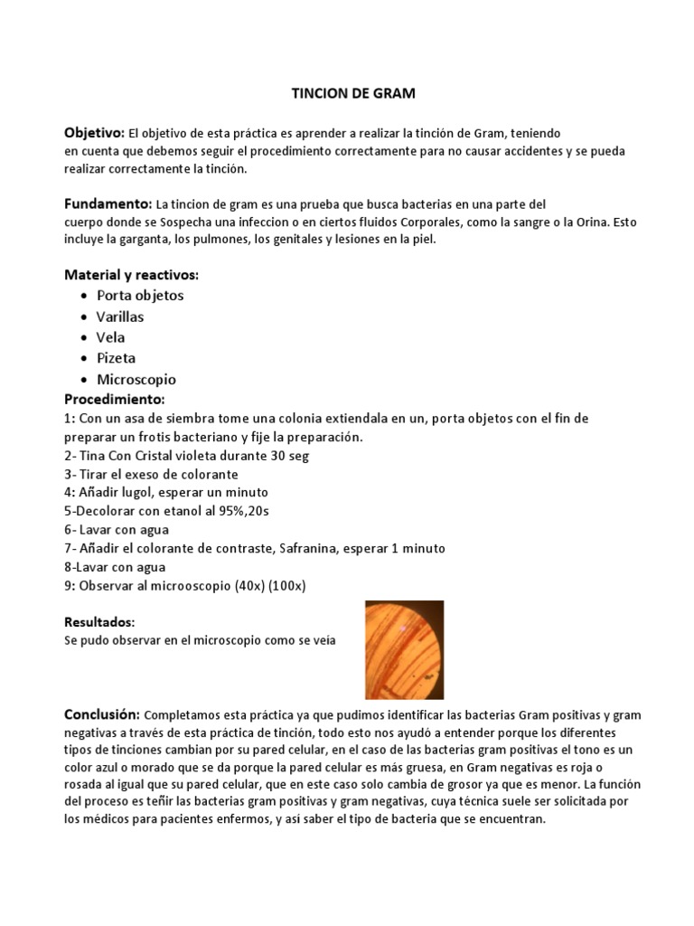 Tincion de Gram | PDF