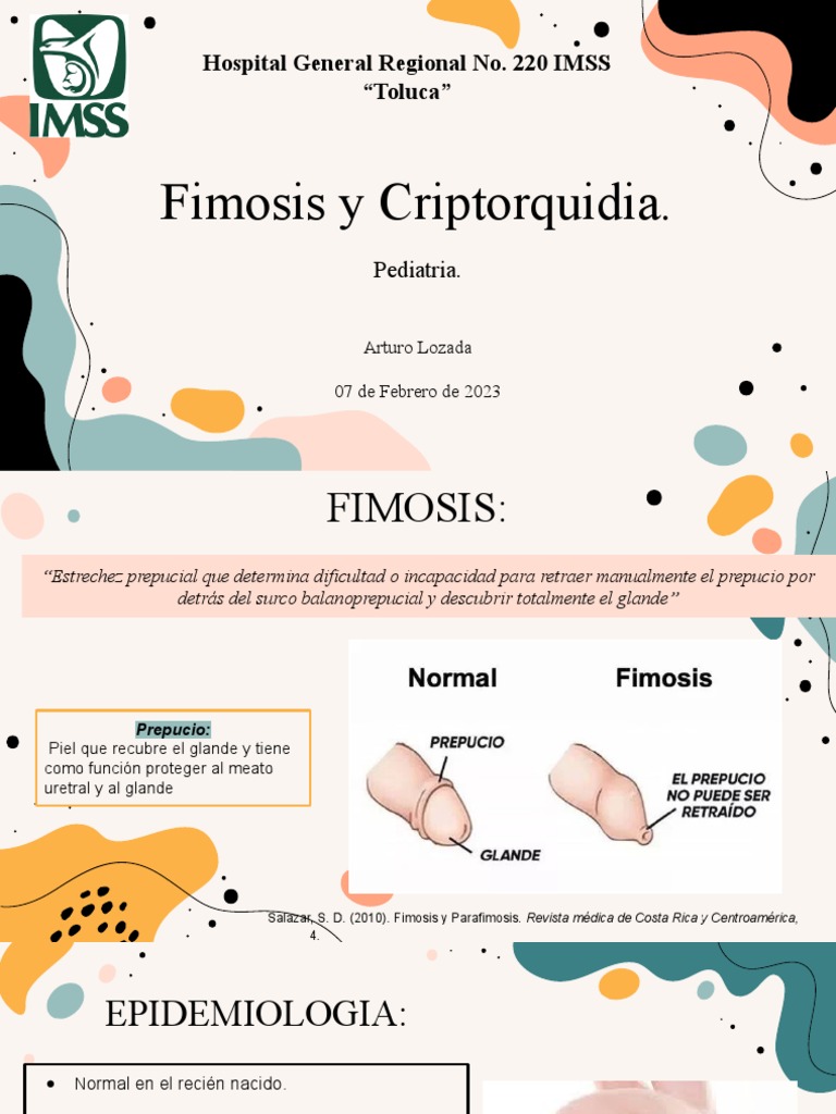 Fimosis y Criptorquidia en Pediatría | PDF | Anatomia sexual | Anatomia ...