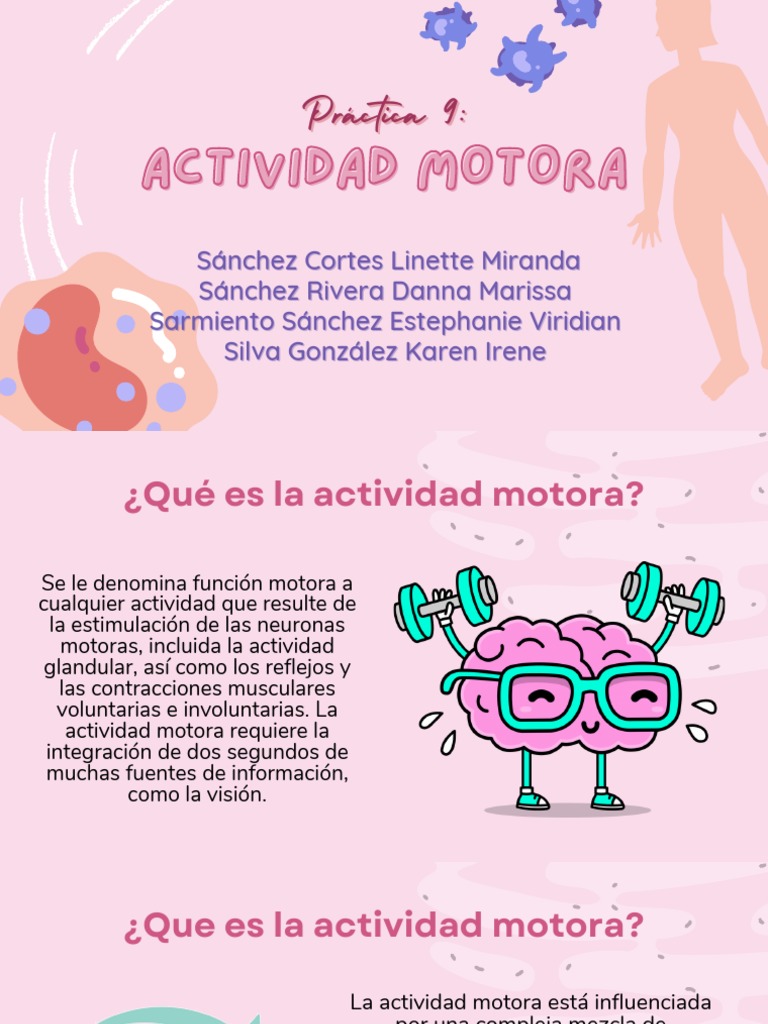 Práctica 9 - Actividad Motora Fisio 1 | PDF | Neurona | Cerebro