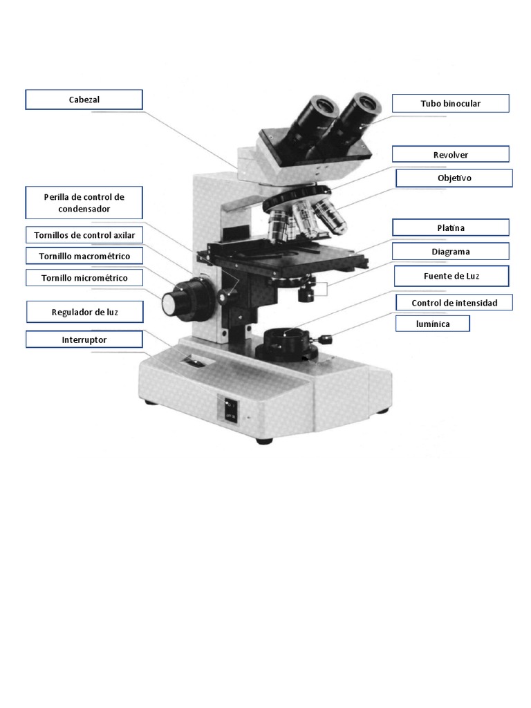 Partes Del Microscopio | PDF