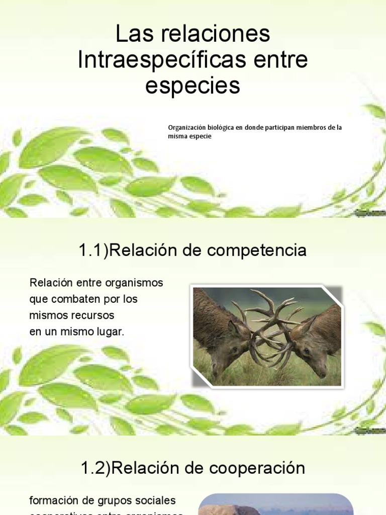 Las Relaciones Intraespecíficas Entre Especies: Organización Biológica ...