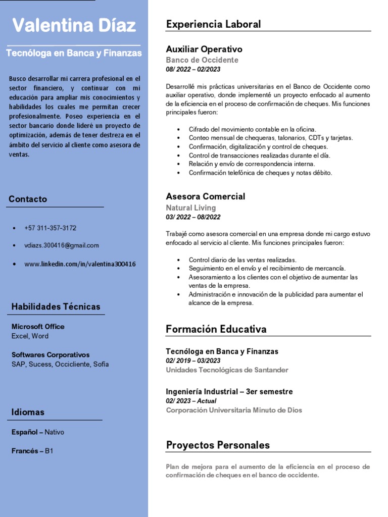 Ejemplo Hoja de Vida | PDF | Bancos | Business