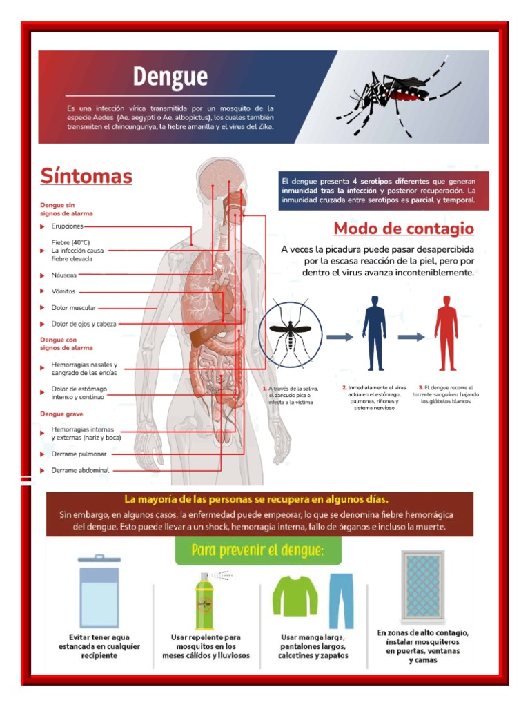 Infografia Dengue | PDF