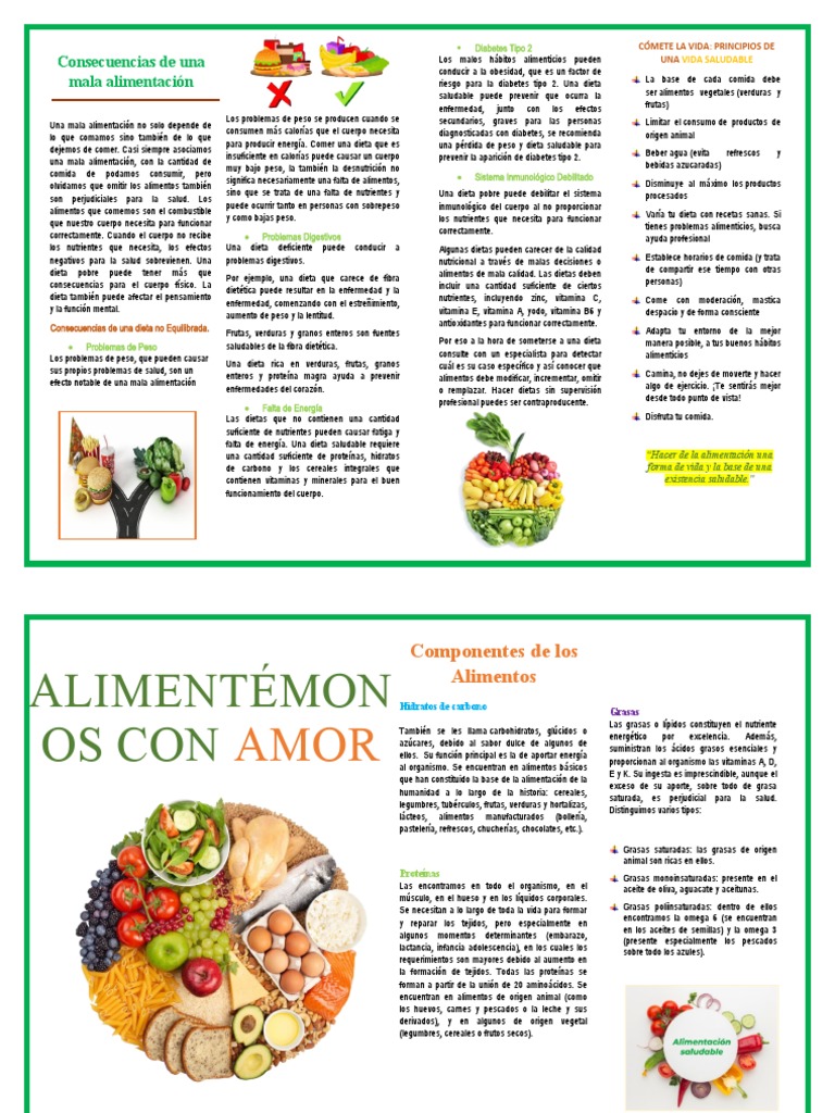 Folleto de Alimentos Saludables | PDF | Dieta | Alimentos