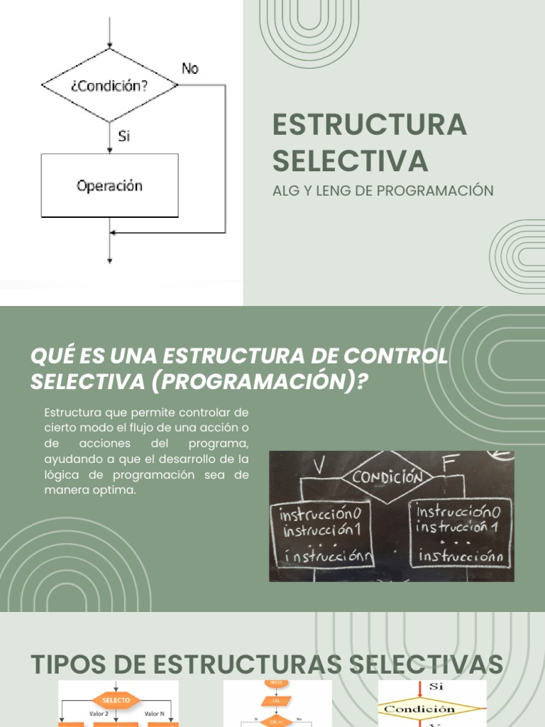Estructura Selectiva: Alg Y Leng de Programación | PDF