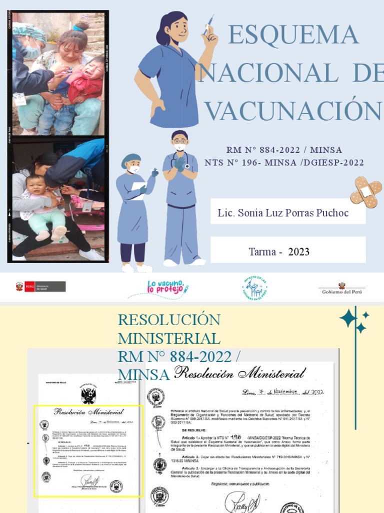 Norma Tecnica 196 | PDF