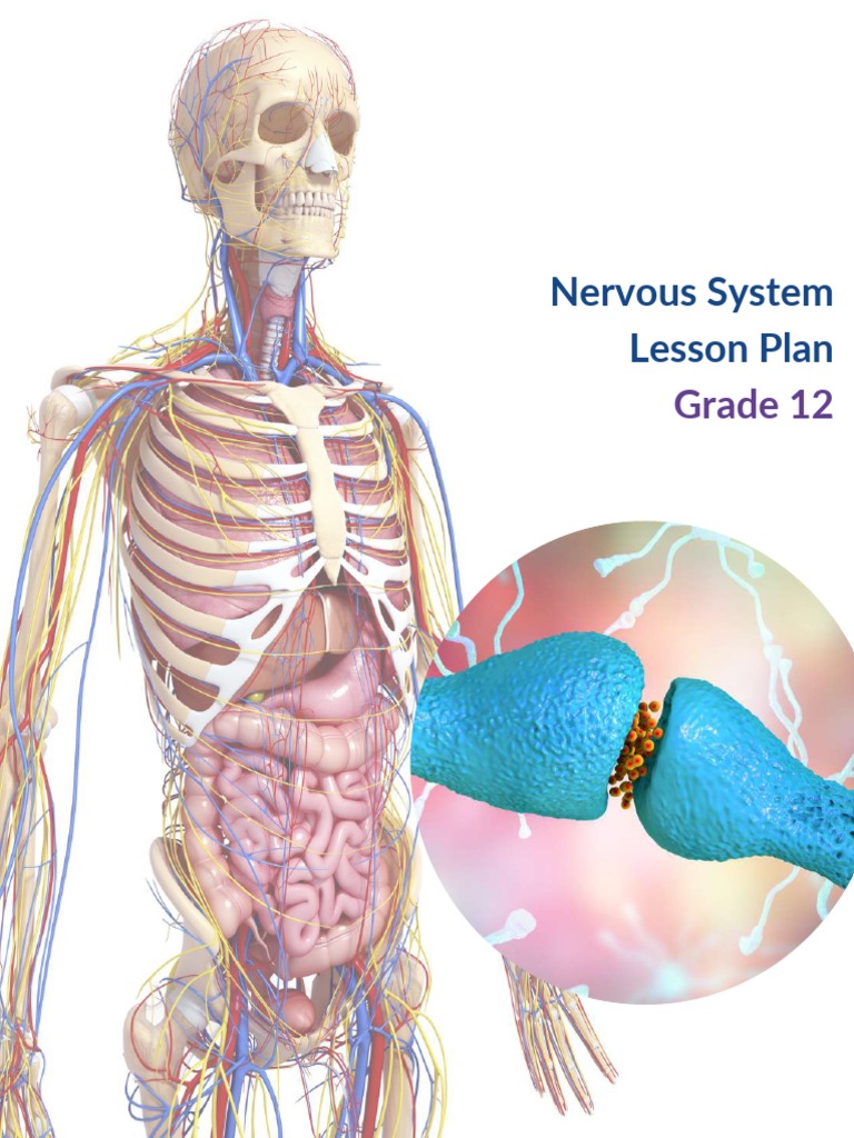 Humane Science Human Nervous Grade 12 Lesson Plan | PDF