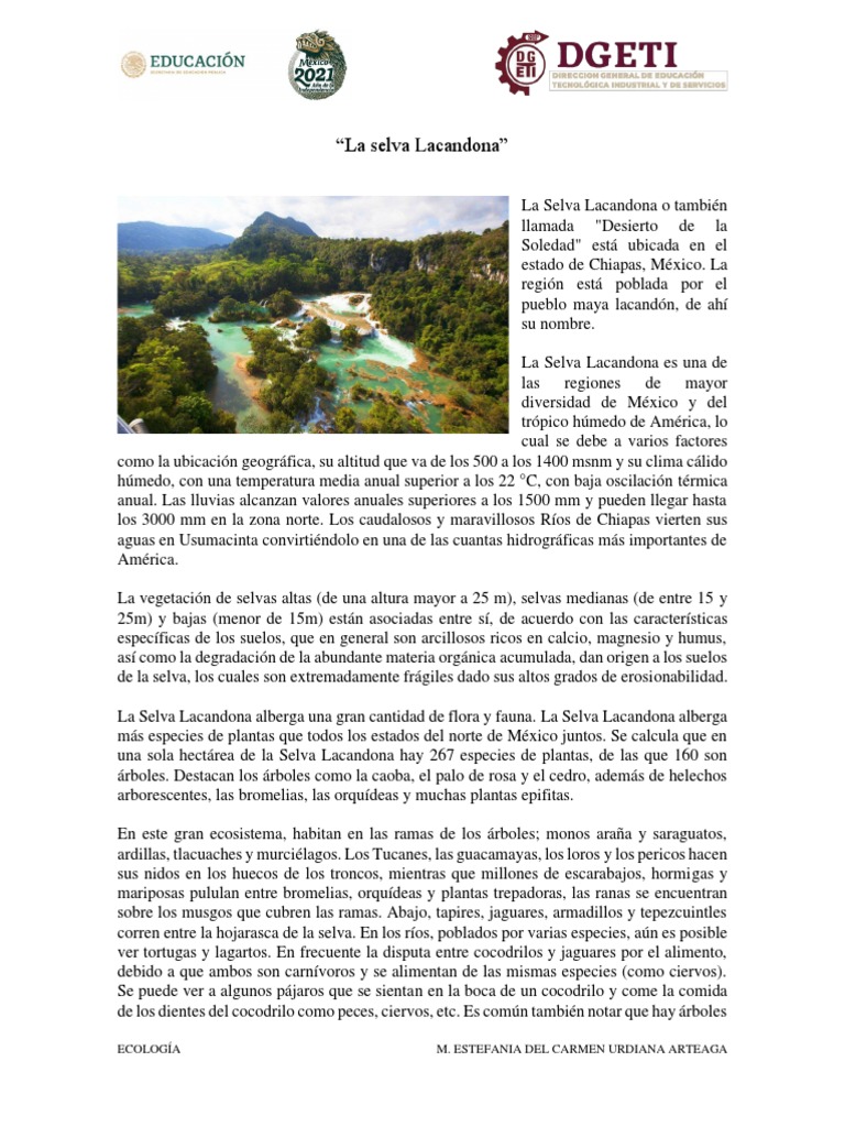 Flora y fauna de la Selva Lacandona | PDF