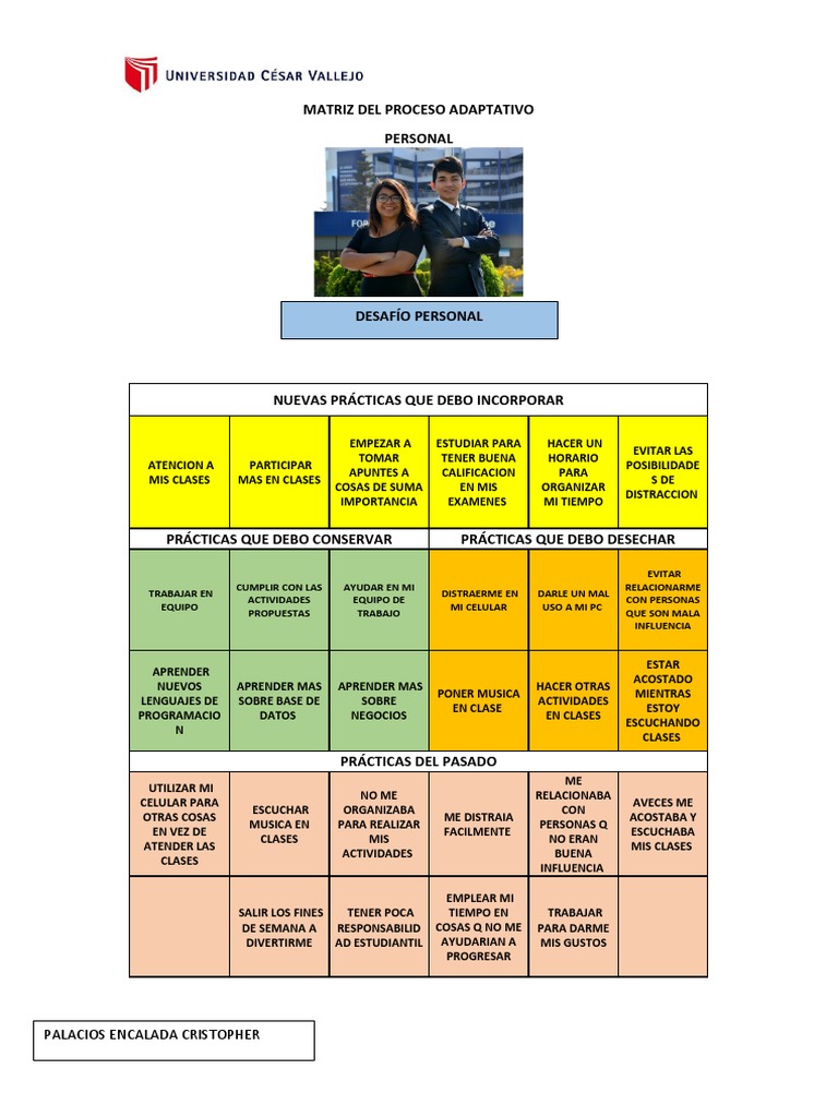 Evidencia Matriz Del Proceso Adaptativo | PDF