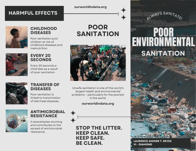 Poor Environmental | PDF | Wellness