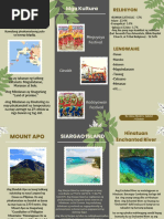 Filipino Brochure | PDF