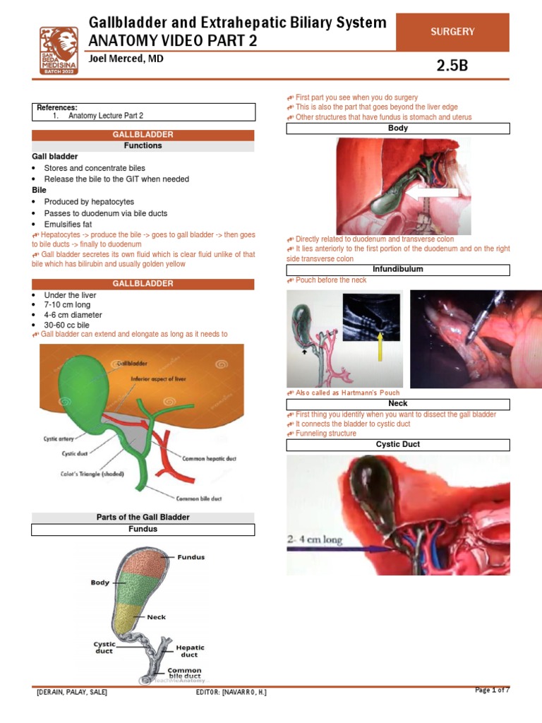 [SURG2] 2.5B GALLBLADDER and EHBT Video Part 2 | PDF