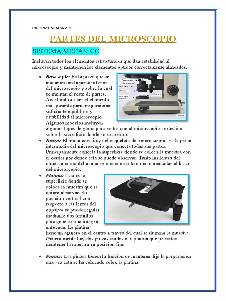 INFORME Micros | PDF