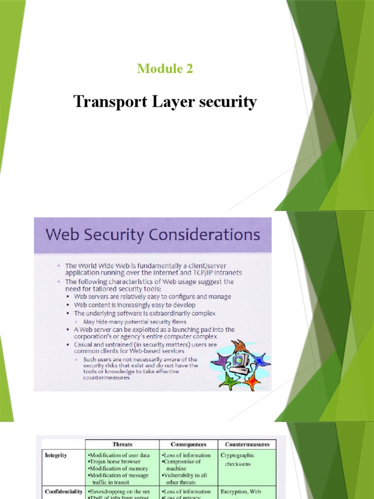Transport Layer Security | PDF | Transport Layer Security | Public Key Cryptography