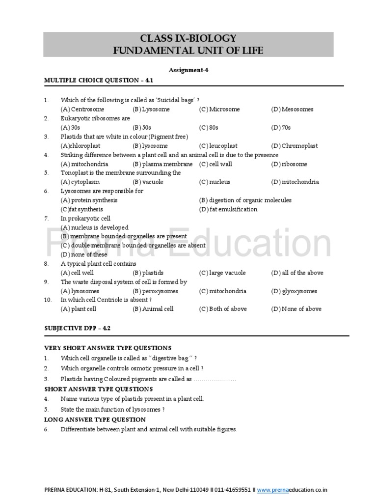 Biology Cell Assignment 4 | PDF | Cell (Biology) | Eukaryotes