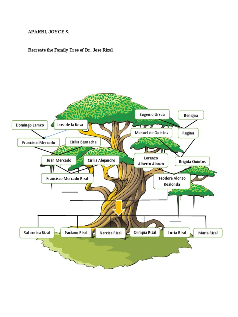Aparri, Joyce S. Recreate The Family Tree of Dr. Jose Rizal | PDF