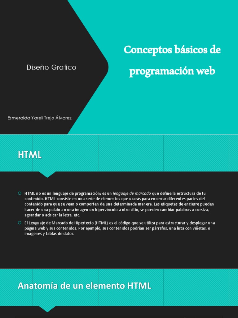Conceptos básicos de programación web | PDF