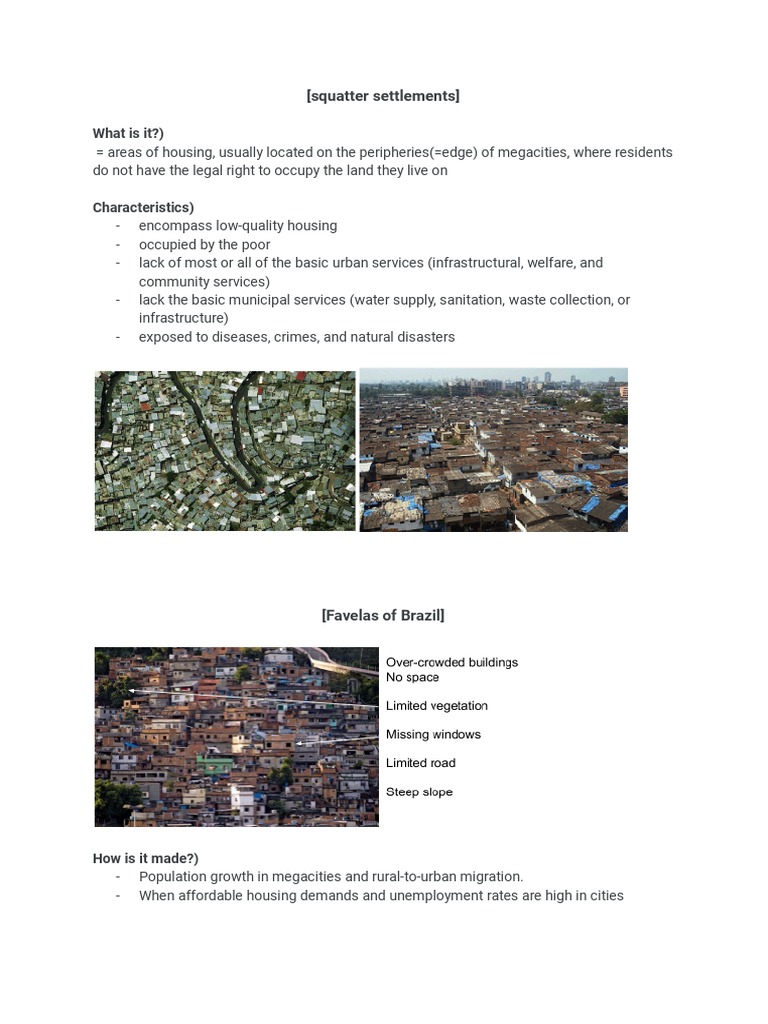 Life on the Edge: Understanding Squatter Settlements through the Case of Favelas in Brazil | PDF