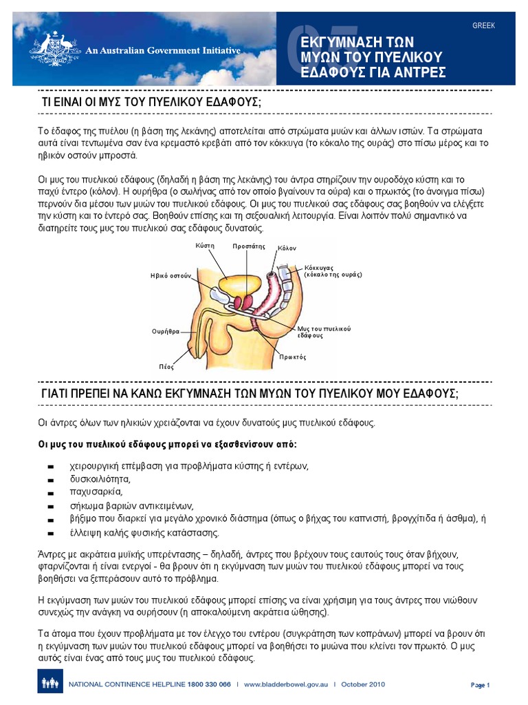 Askiseis Pyelikou Edafous | PDF