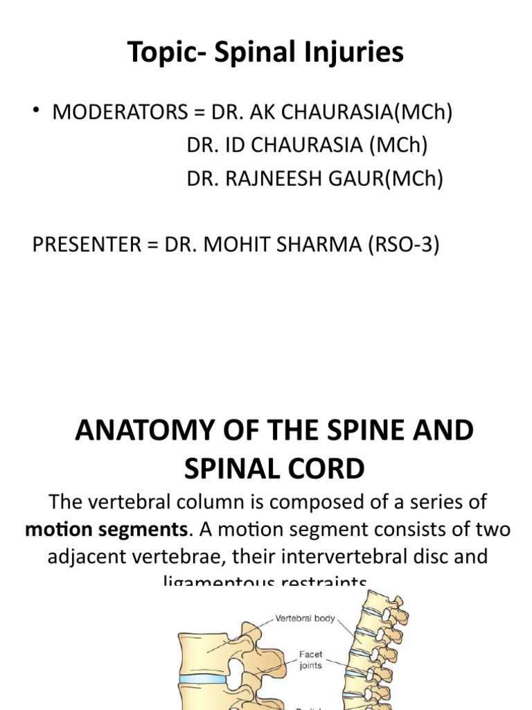 Spine Injuries | PDF | Vertebral Column | Spinal Cord