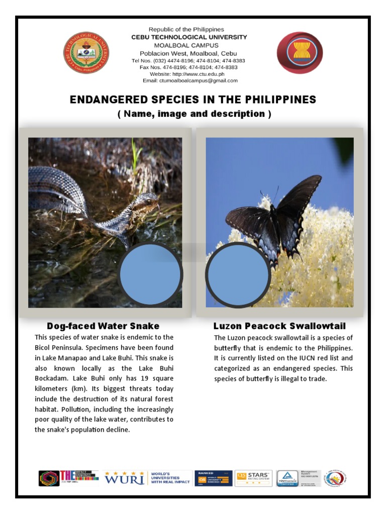 Proj Format 4 ENDANGERED SPECIES IN THE PHILIPPINES | PDF